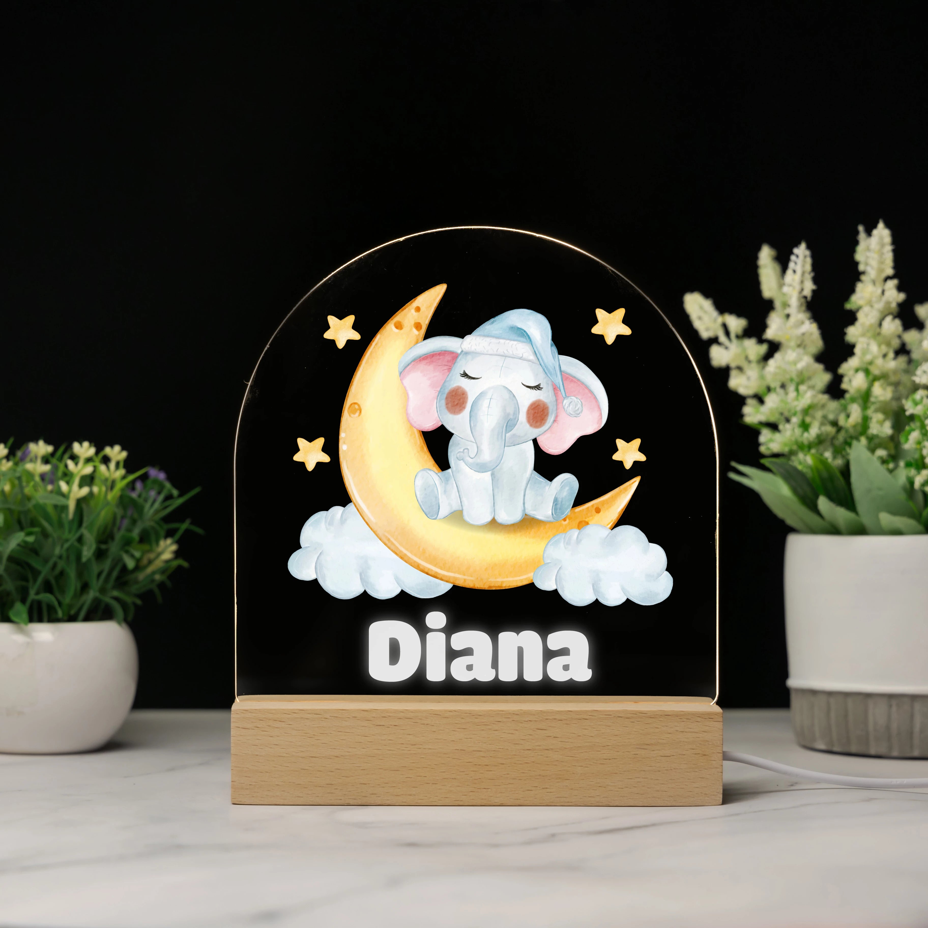 Custom Acrylic Night Light – Craftstoy